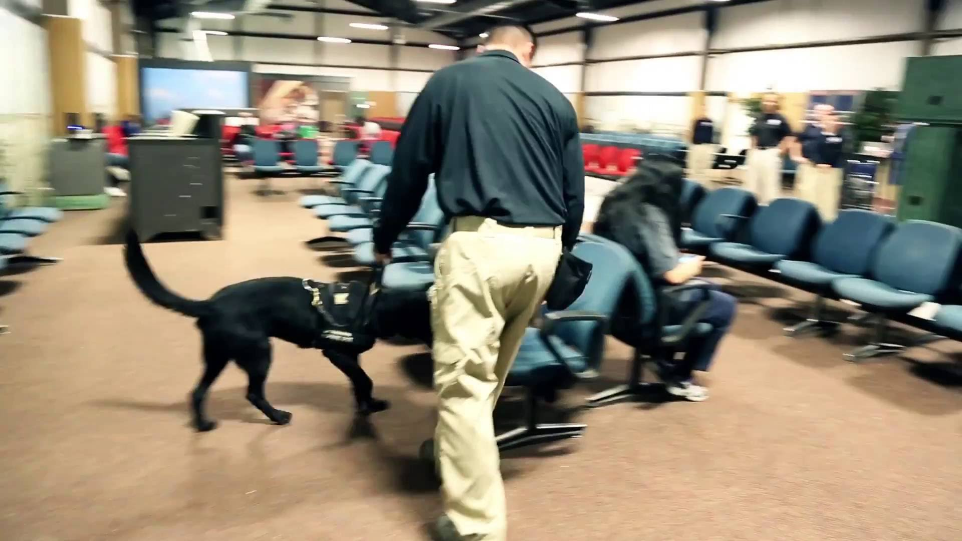 Inside Look: TSA Canine Training | Aviation Pros