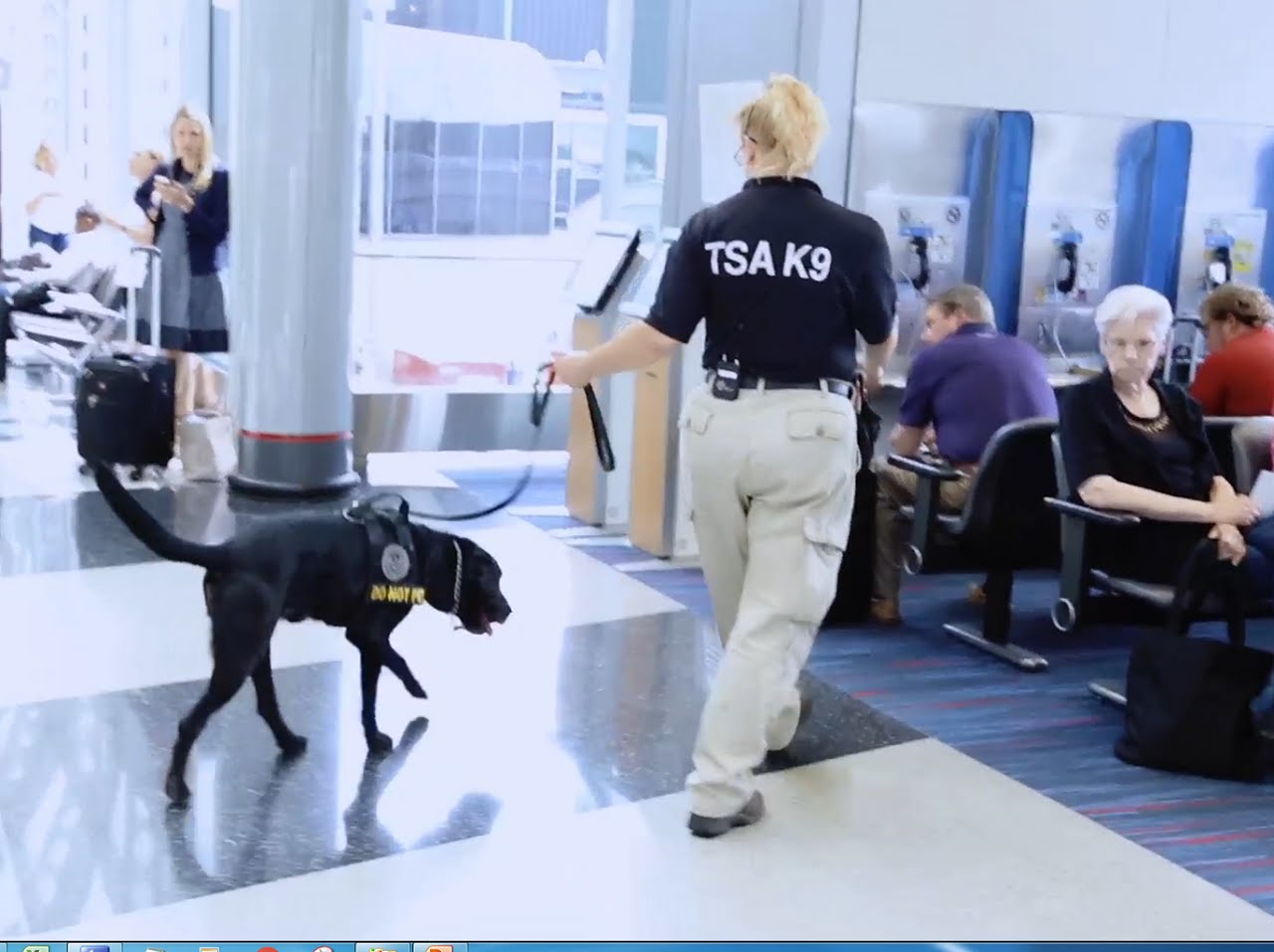 TSA on the Job: Explosives Detection Canine Handler | Aviation Pros
