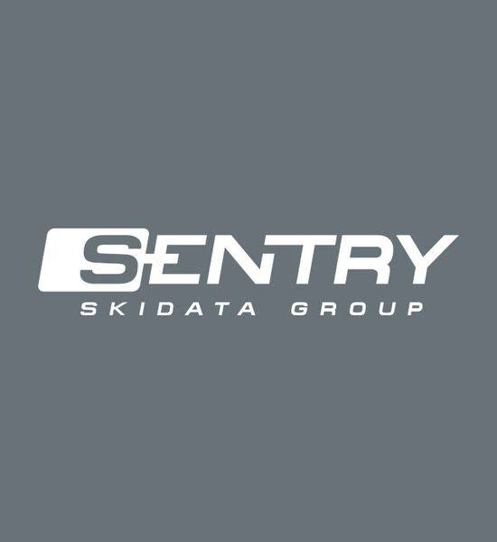 Sentry Control Systems | Aviation Pros
