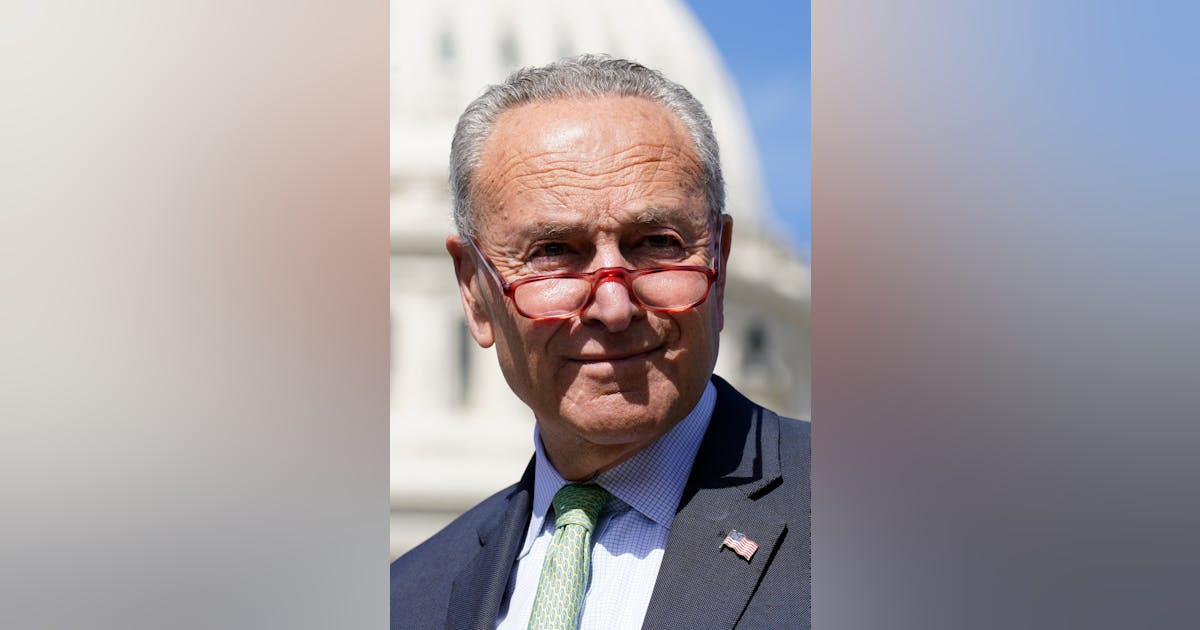 Feds Must Crack Down on Cyberattacks, Sen. Schumer Says | Aviation Pros Feds Must Crack Down on Cyberattacks, Sen. Schumer Says | Aviation Pros