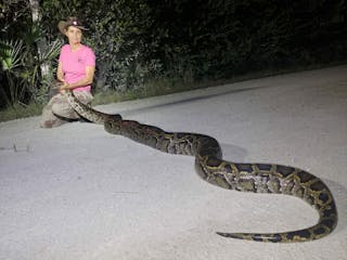 ‘Emotional Support’ Snake Measuring 4 Feet Barred From Boarding Florida ...