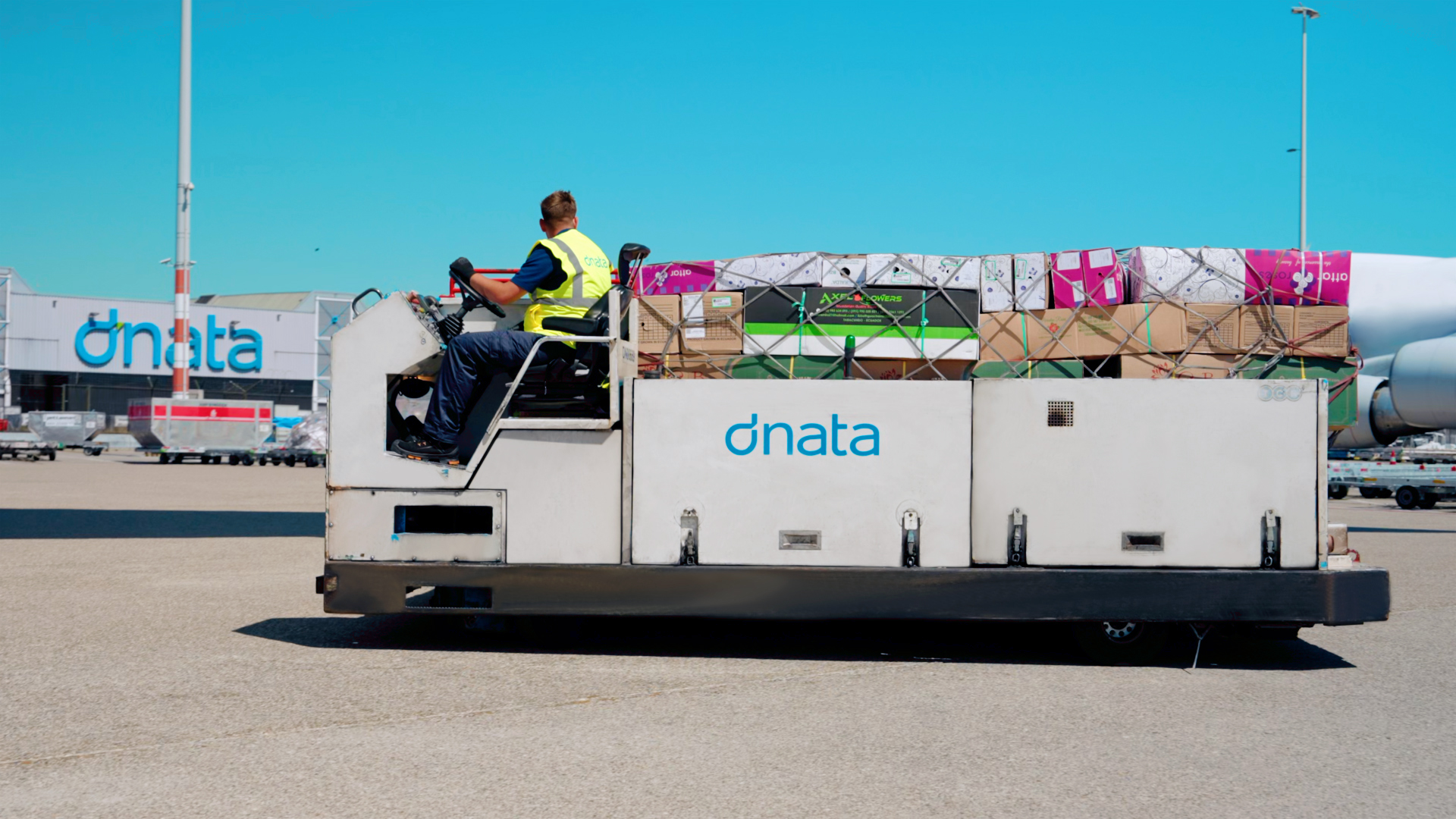 Blooming Brilliance: dnata’s Flower Handling Expertise Takes Flight in ...